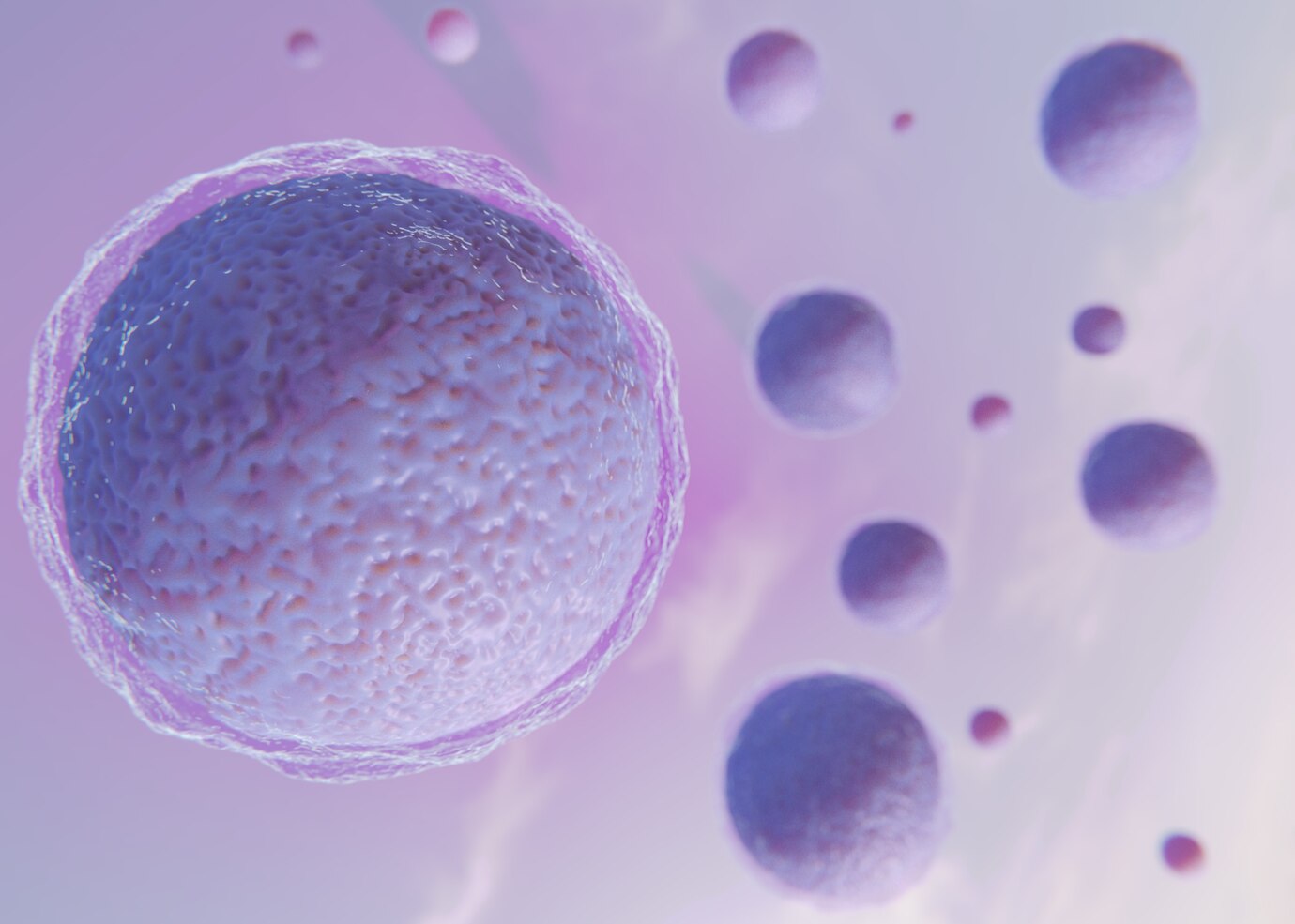 Numărul ovocitelor din ovare e stabilit genetic - Clinica Fertilia